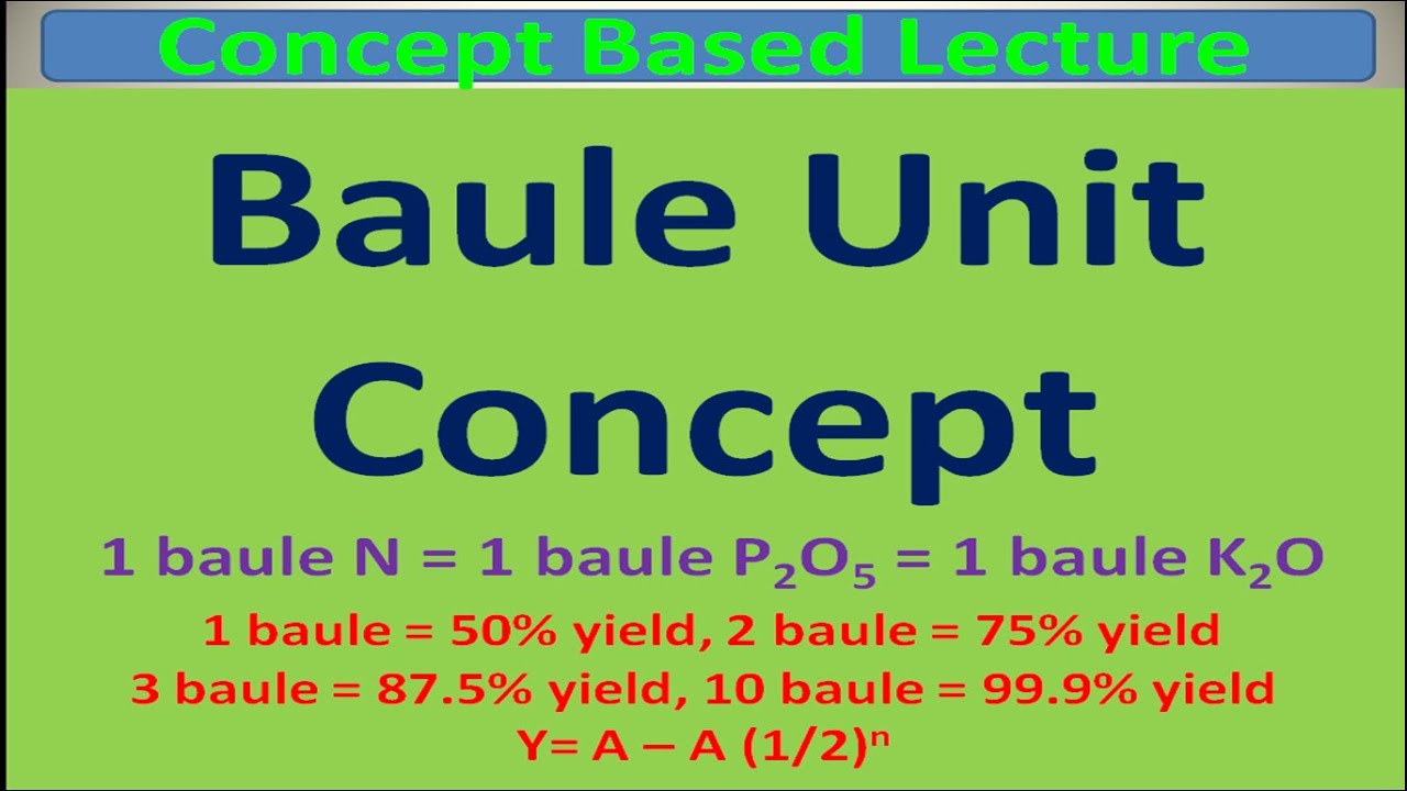 Baule Unit Concept - YouTube