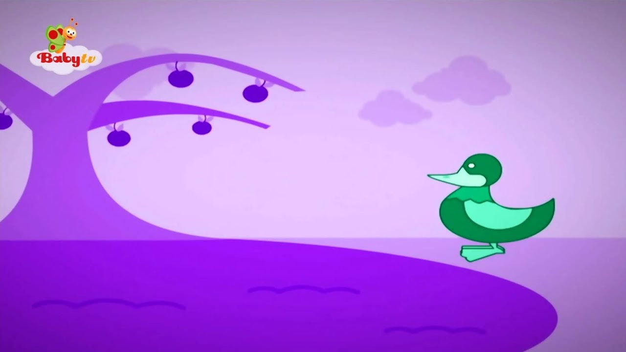 Parrot | Animal Sounds and Names for Kids & Toddlers | @BabyTV - YouTube