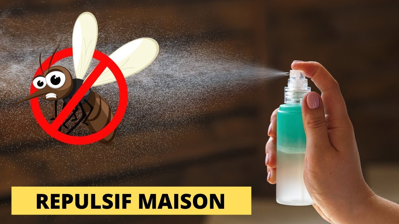 Comment fabriquer un insectifuge naturel pour protéger votre maison ...