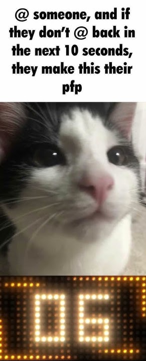 ping someone and if they don’t ping back - YouTube