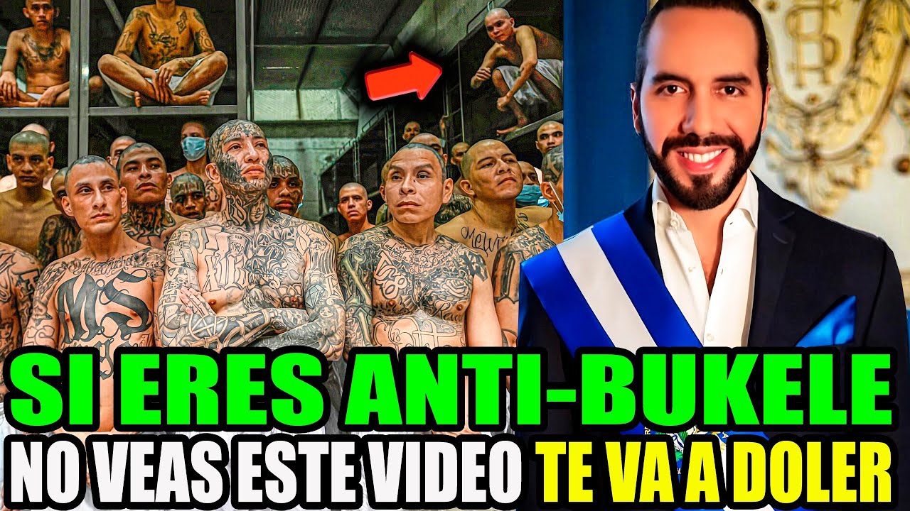 NO VEAS ESTE VIDEO SI ERES DE LOS QUE DEFIENDE A LOS PANDILLEROS PORQUE ...