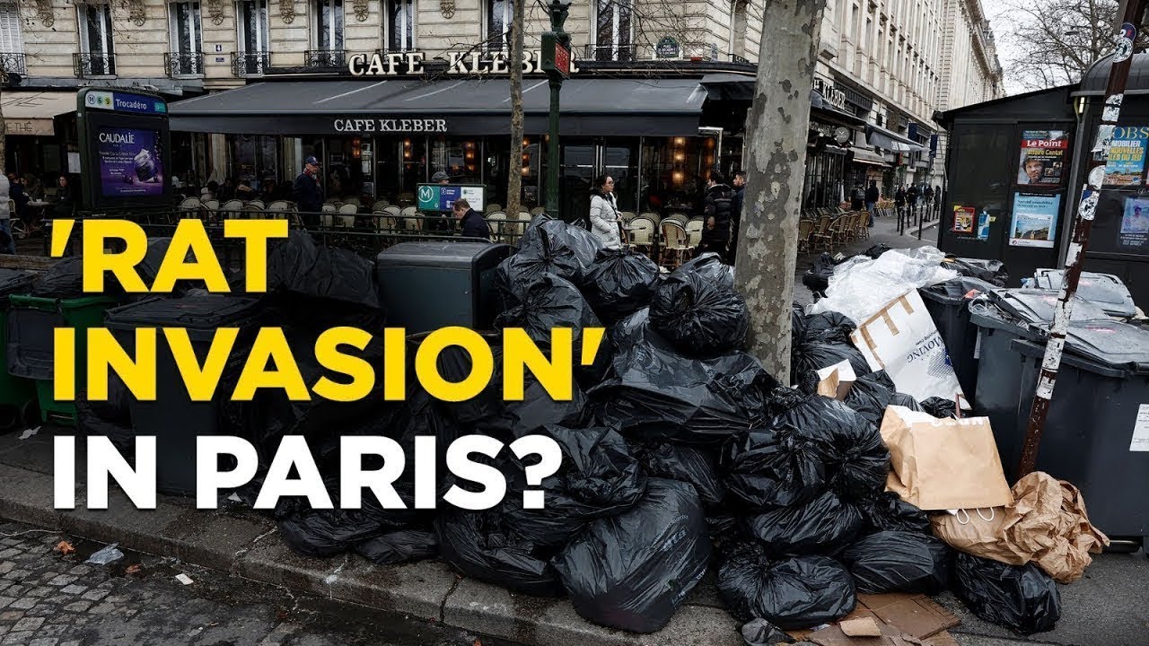 France Protests Live: Paris Stinks, Fears Of Rat Invasion As Garbage ...
