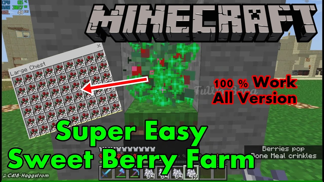 Simple Sweet Berries Farm Minecraft - YouTube