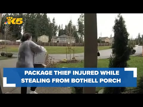 Package thief injured while stealing from Bothell porch