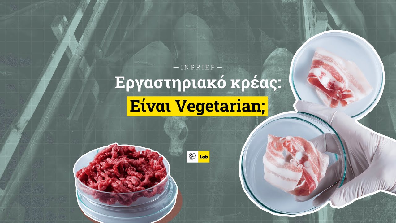 Εργαστηριακό κρέας: Είναι Vegetarian; - YouTube