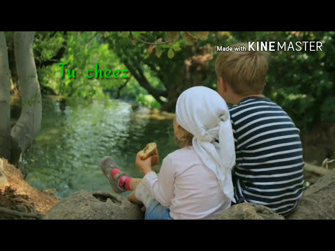 Whatsapp Status.. tu cheez badi hai mast mast...