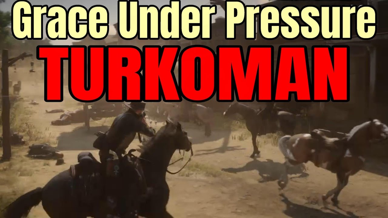 Dark Bay Turkoman in ACTION. This is WHY the Turkoman is a Great War ...