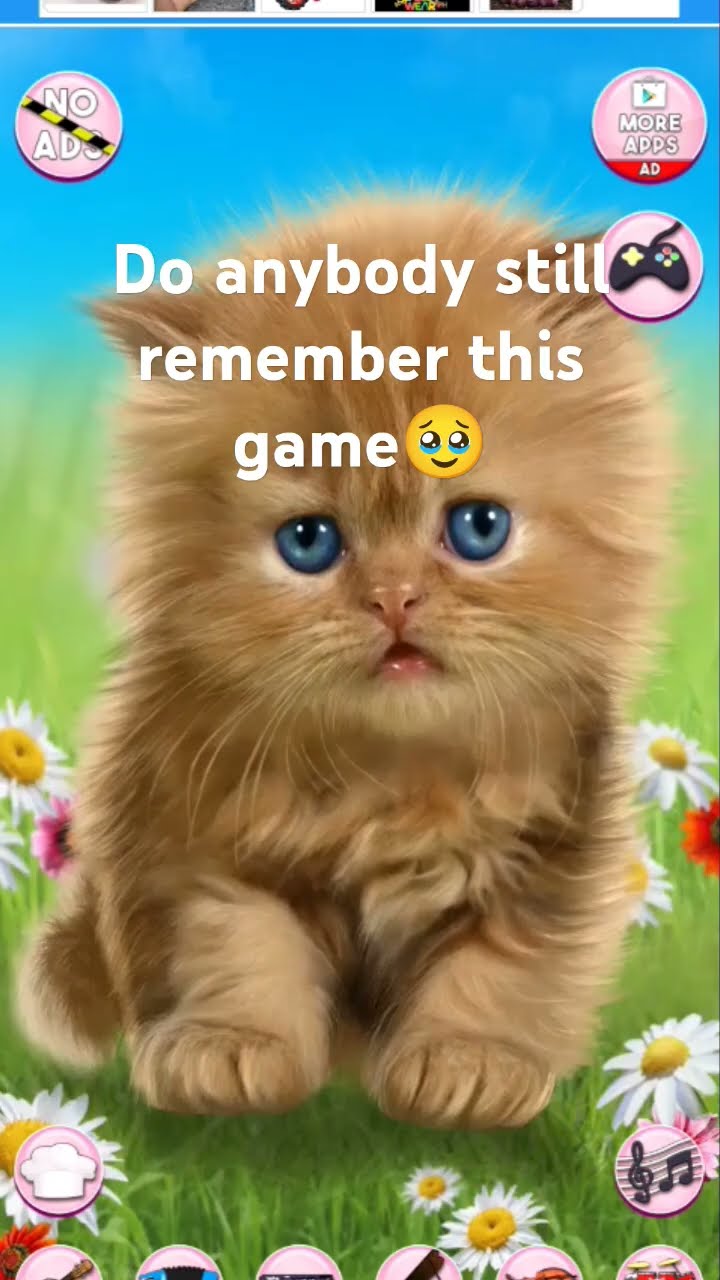 the name of this game is talking baby cat talking game - YouTube