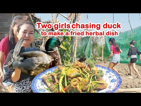 Strange! Two girls chasing duck to make a fried herbal dish.