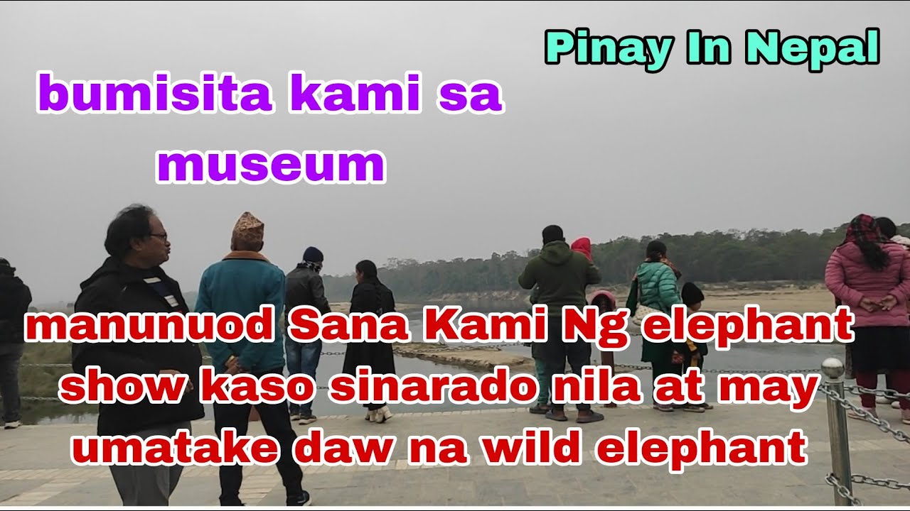 Pasyal Tayo sa Sauraha naudlot panunuod Ng elephant show may umatake ...