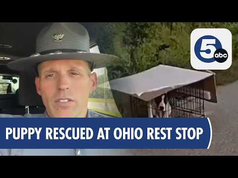 Ohio State Highway Patrol Trooper Rescues Abandoned Dog in Medina County