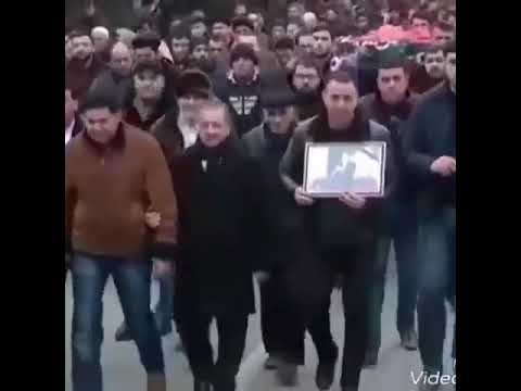 zahid sabrabadlı dəfni(1)