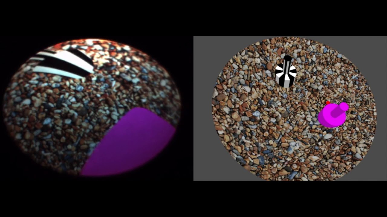 FishVR - demonstration of two-alternative forced choice paradigm - YouTube