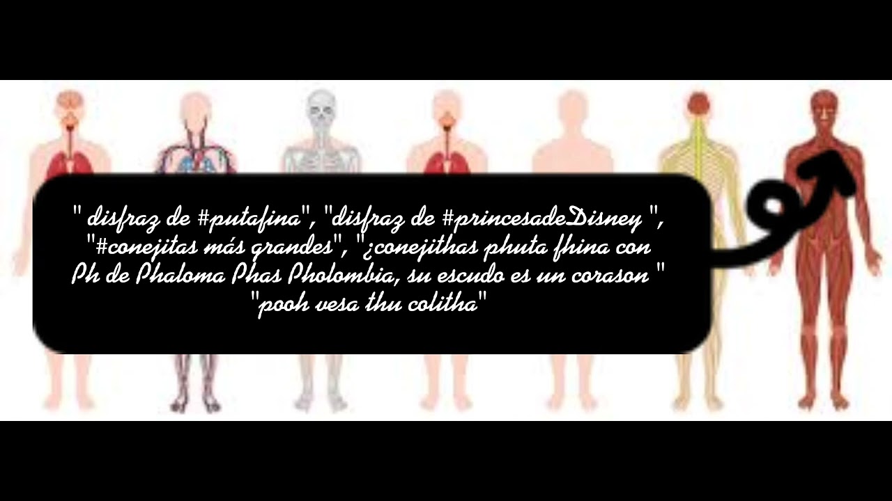 "#putafina #conejita " - YouTube