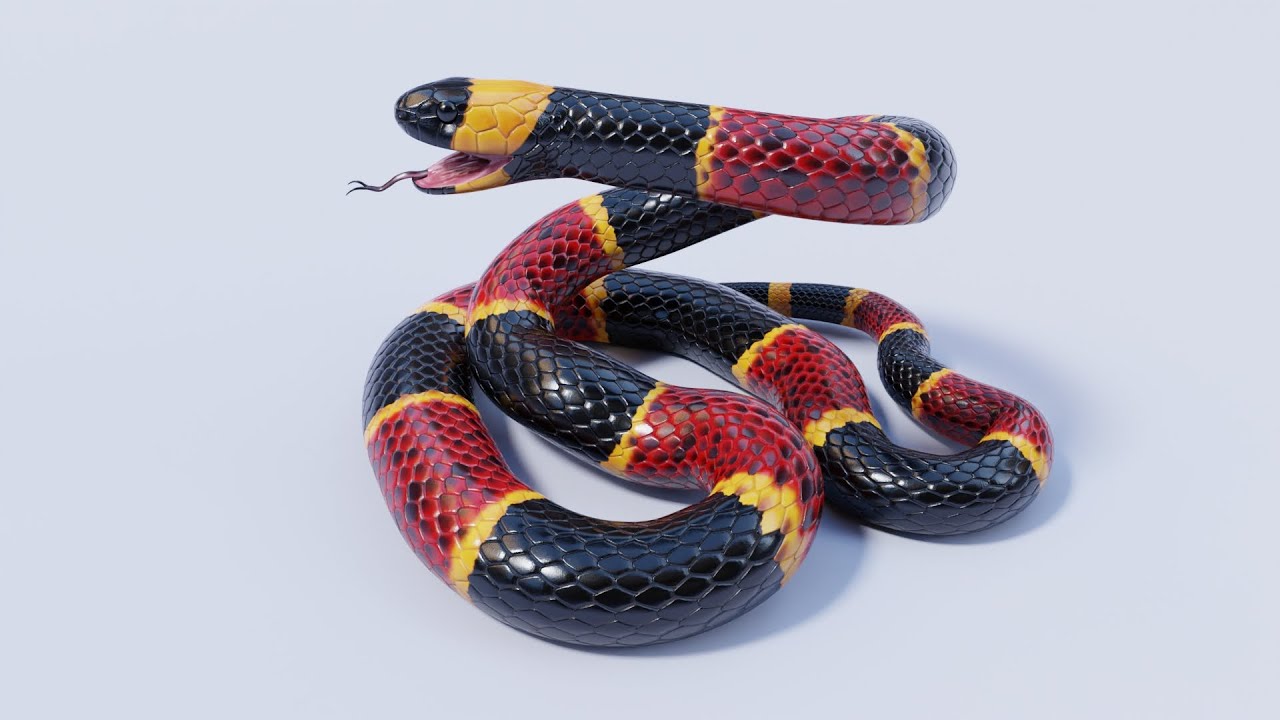 Animated Game Ready Eastern Coral Snake 3D Model - YouTube