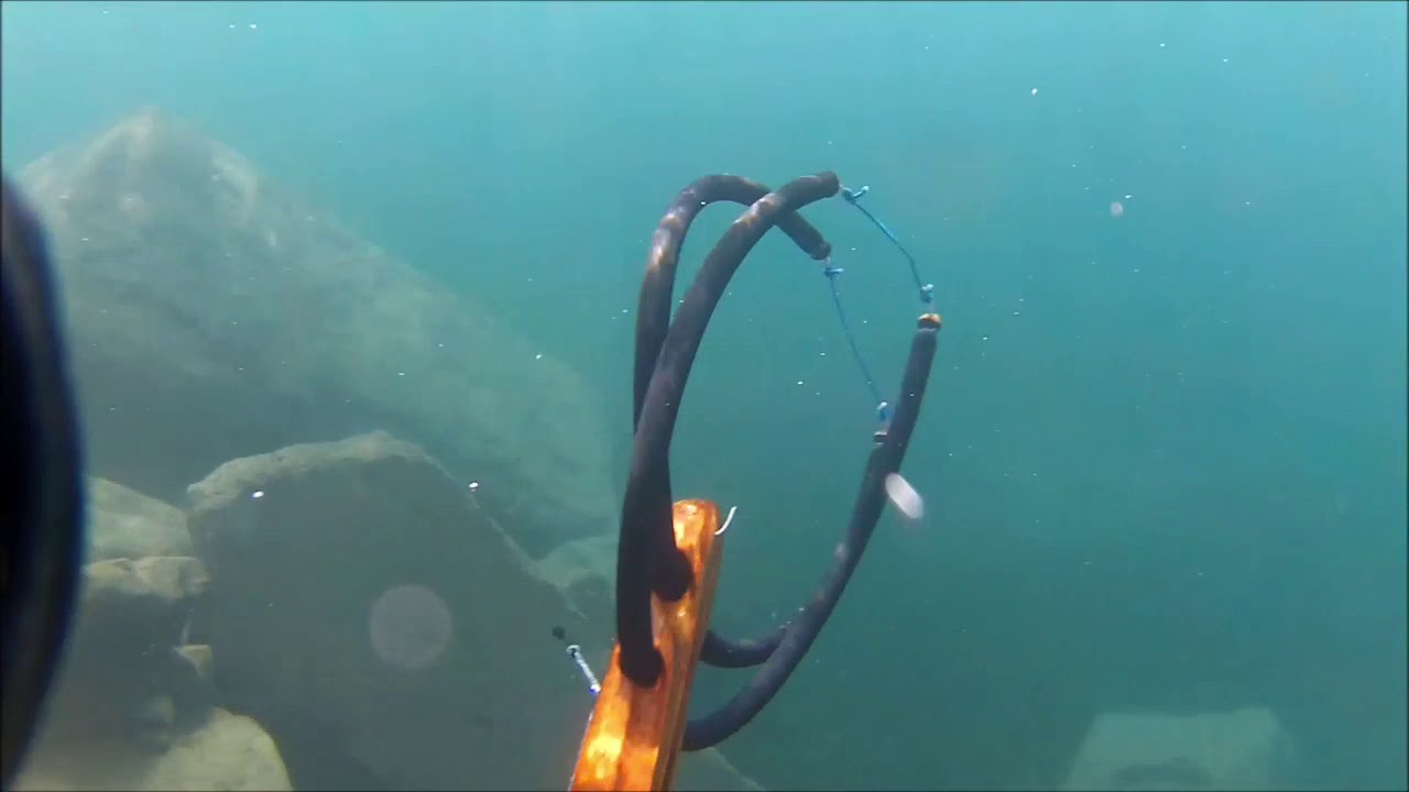 Spearfishing Cyprus (ΨΑΡΟΝΤΟΥΦΕΚΟ ΣΤΗ ΚΥΠΡΟ) - YouTube