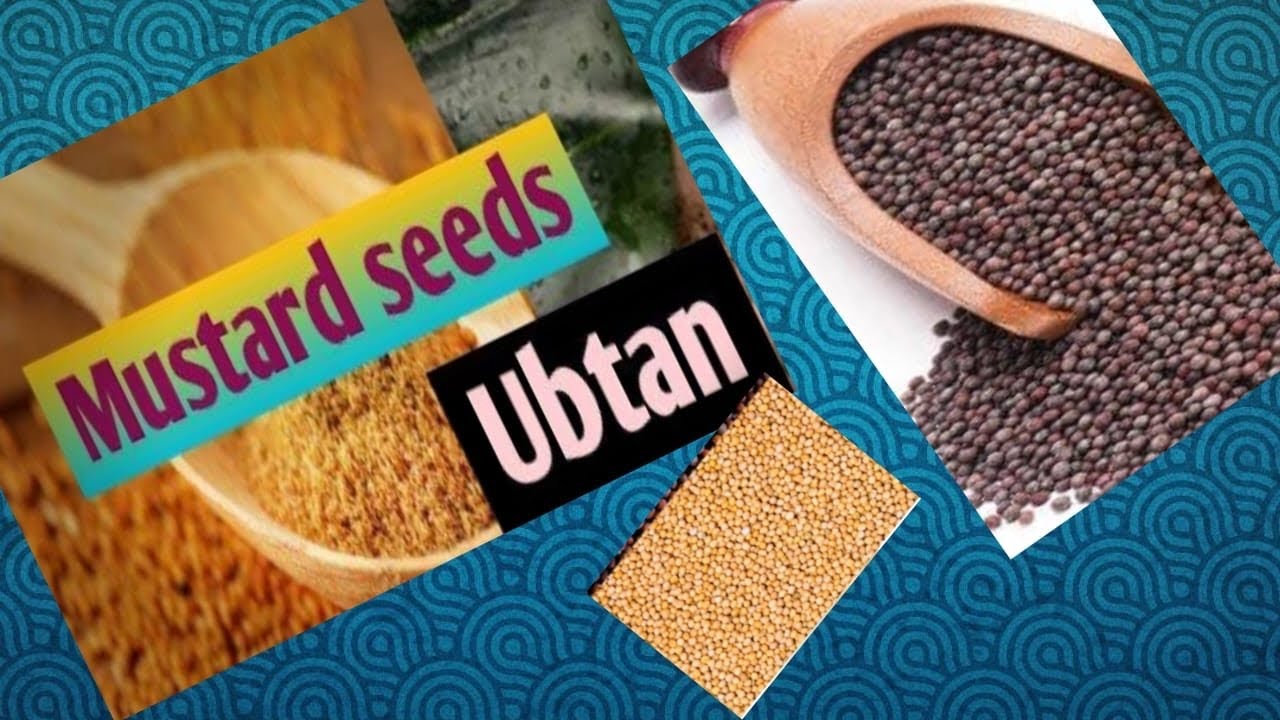 Mustard Seeds Face Pack | Glowing skin |White mustard seeds | Mustard ...