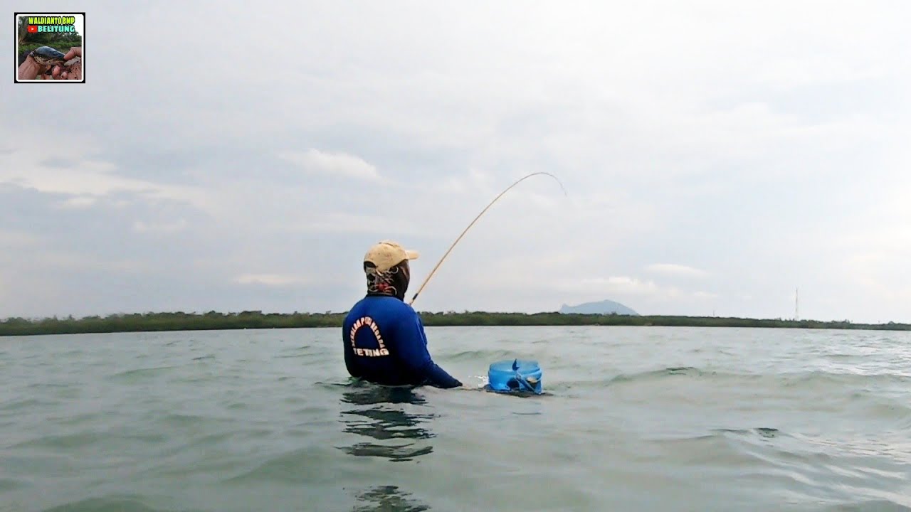 Disini Spot Mancing Ikan Bebulus Terbaik yang Ada Di Belitung, Ikannya ...