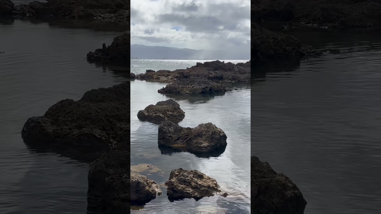 Shark’s Cove and The Pupukea Tide pools in Haleiwa, Oahu Hawaii - YouTube