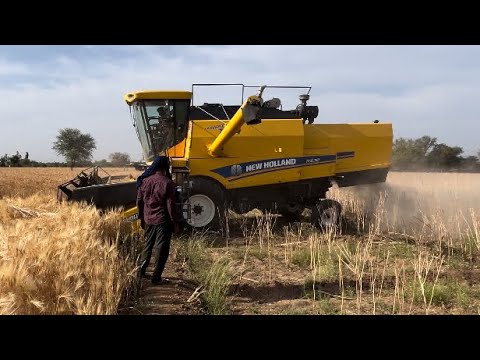 New holland TC5.30 new harvestar - YouTube