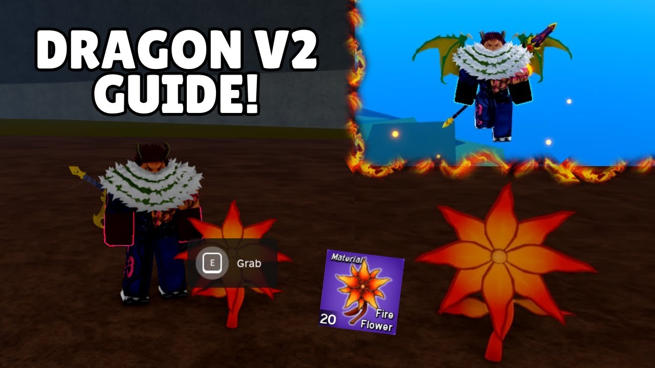 How To Get Fire Flower Fast and Dragon V2 Full Guide In Blox Fruits ...