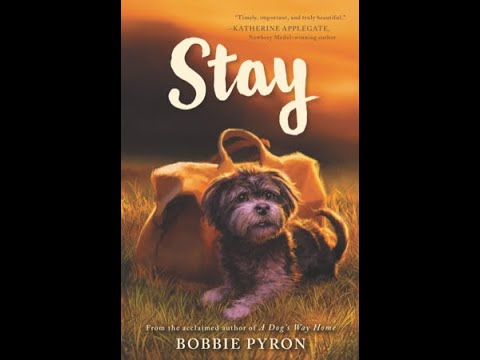 Stay, Chapter 53 - YouTube
