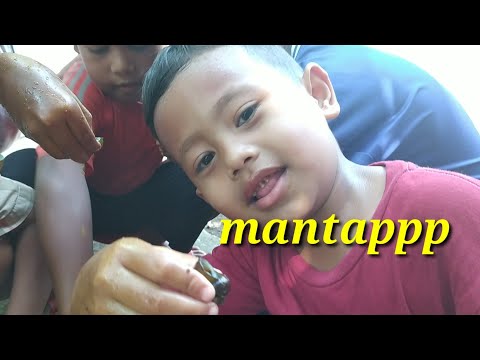 PART2 cerita bocil bocil jual tutut