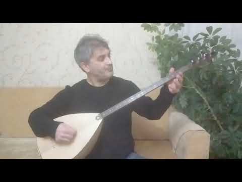Gide gide bir söğüde dayandım