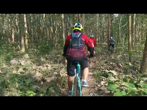 Nyasar !!! Blusukan Sawah dan Alas Jati || biasa mandu lagu jadi pemandu rute - YouTube