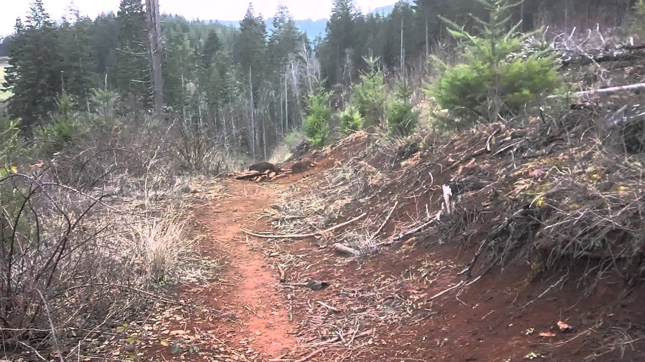 Oregon trapping 2012/2013 part 5 raccoon week - YouTube