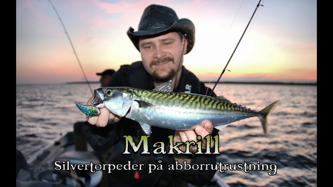 Makrill - Silvertorpeder på abborrutrustning - YouTube