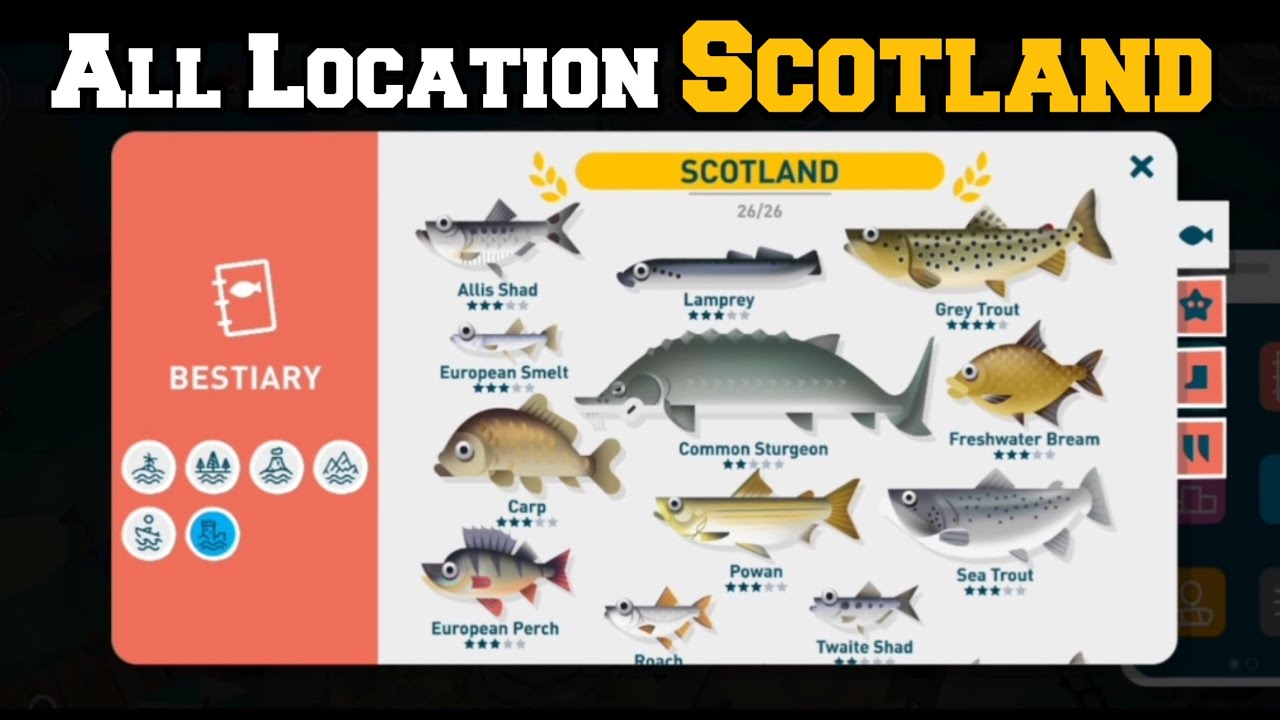 All Fish Scotland Caught - Creatures of the Deep Fishing - YouTube