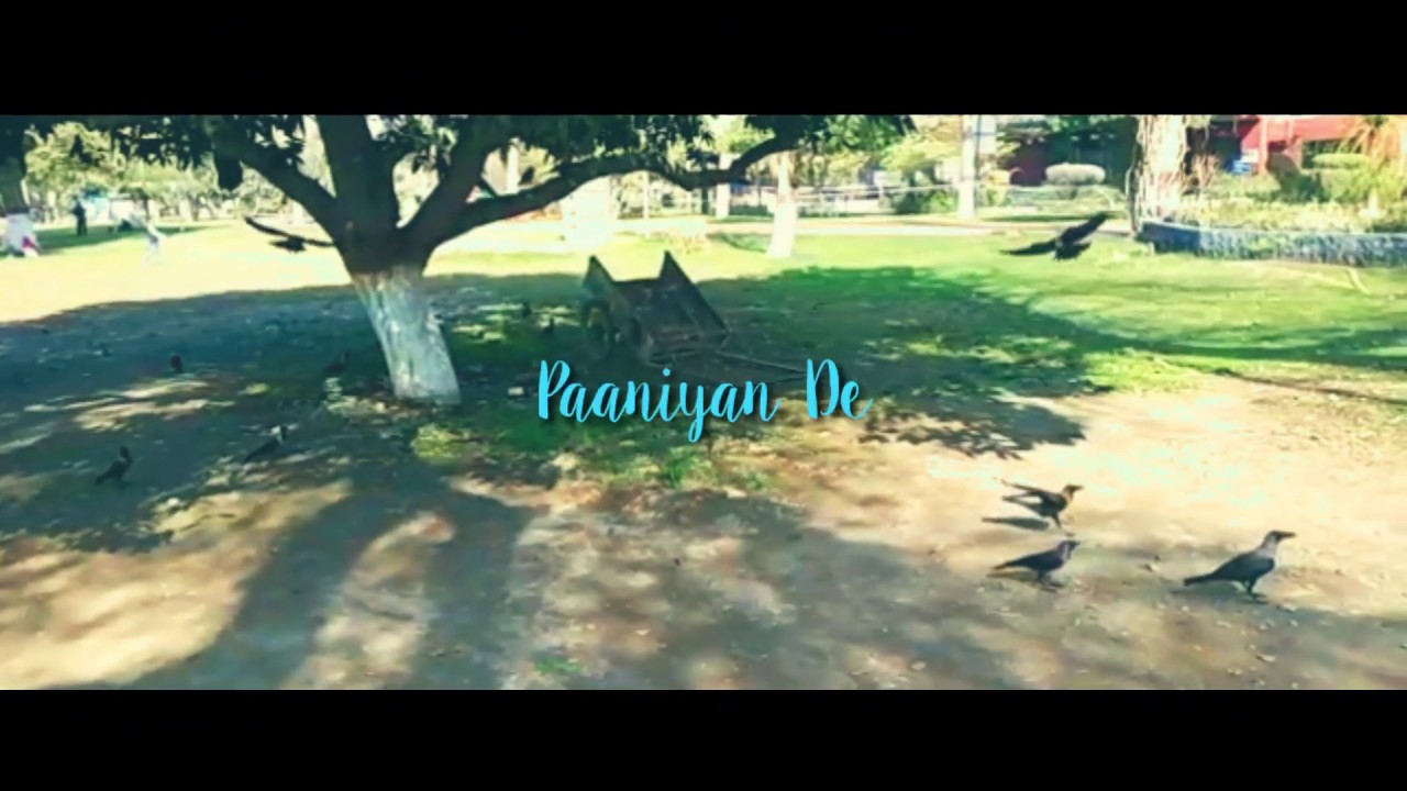 Piyar Awara Panchi Hai - Song #Best Whatsapp💖Status😍 - YouTube