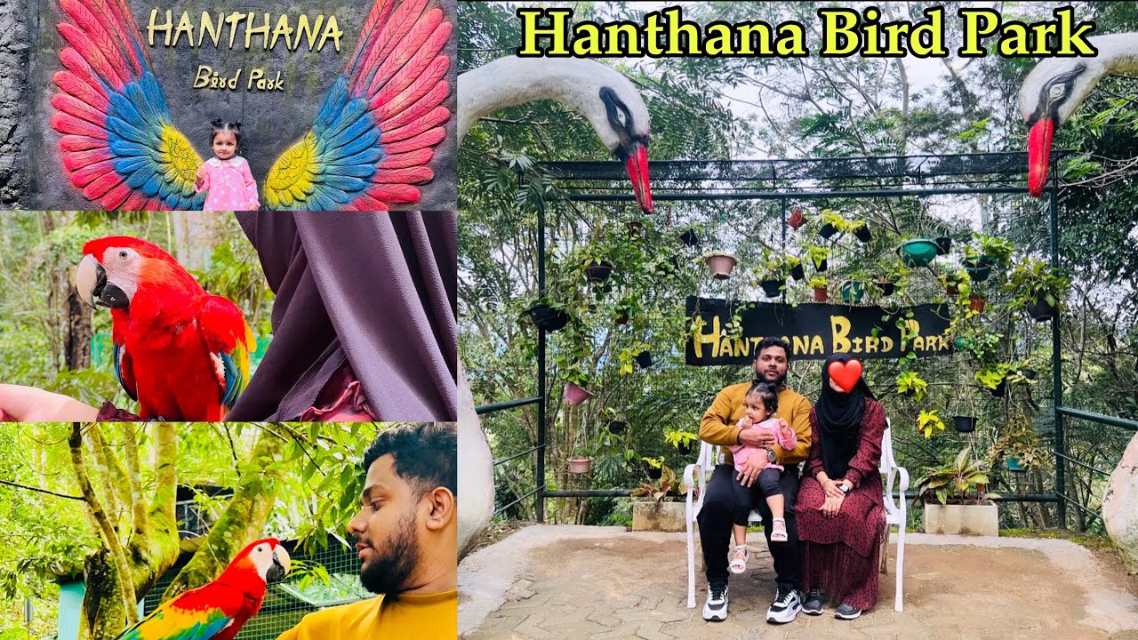 Hanthana Bird Park, Kandy - YouTube