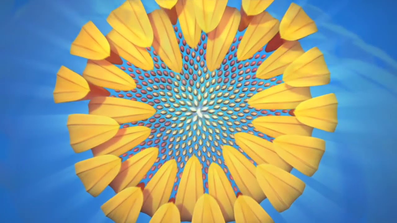 Real World Applications Of Mathematics YouTube real-world-applications-of-mathematics-youtube