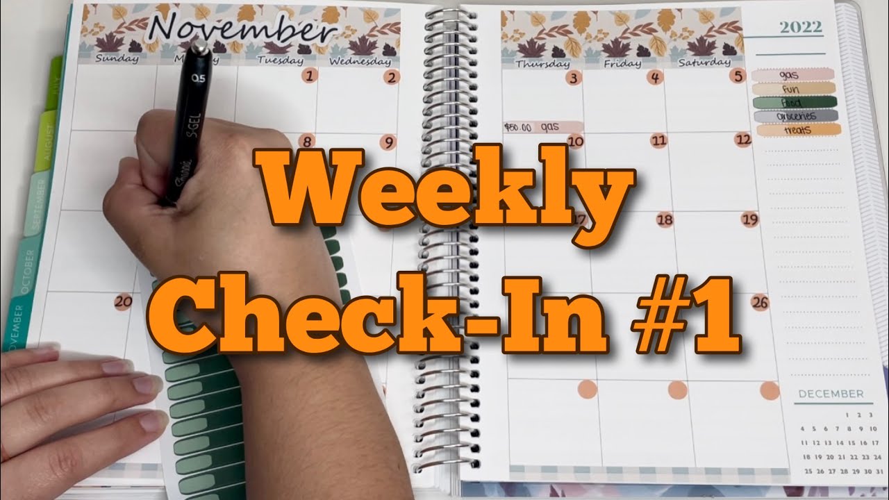November Weekly Check-In #1 | what I spend in a week | real numbers ...