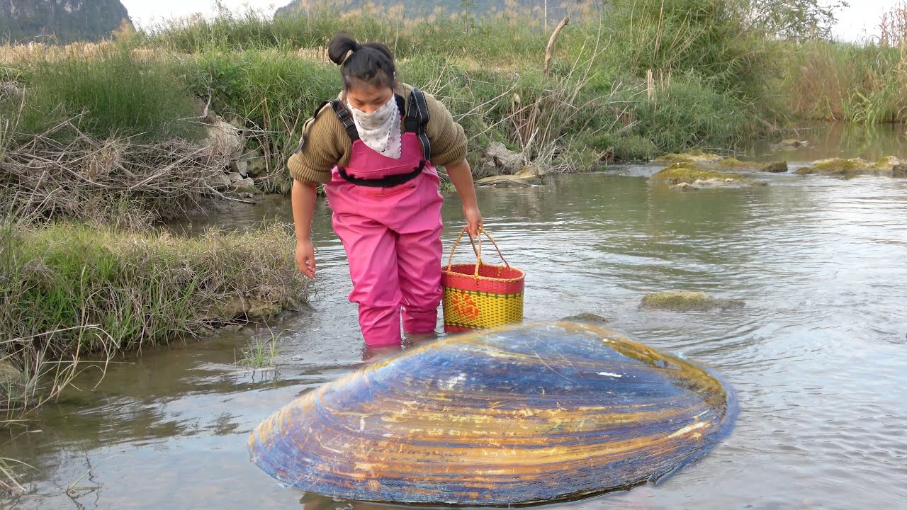 🥰The Wild Treasure of the Mutant Clam: A Teenage Girl's Incredible ...