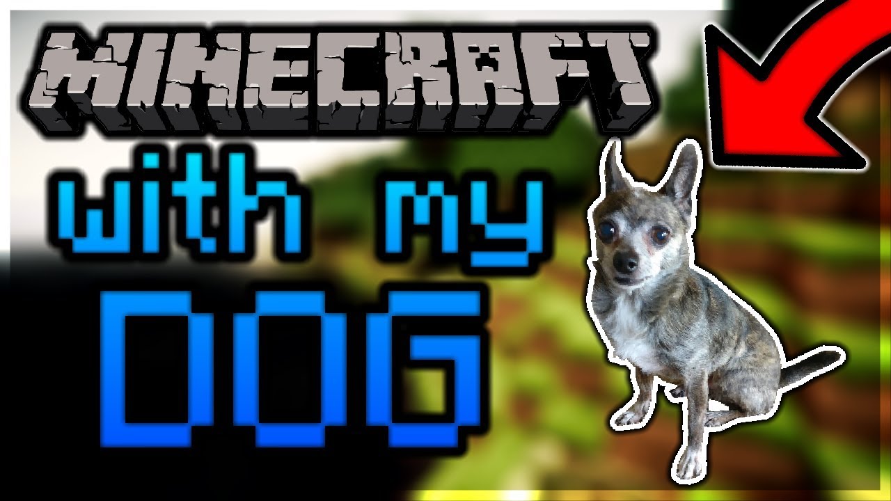 Playing Minecraft with my Dog! - YouTube