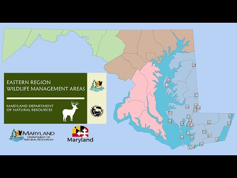 Eastern Region Wildlife Management Areas - Maryland Department of ...