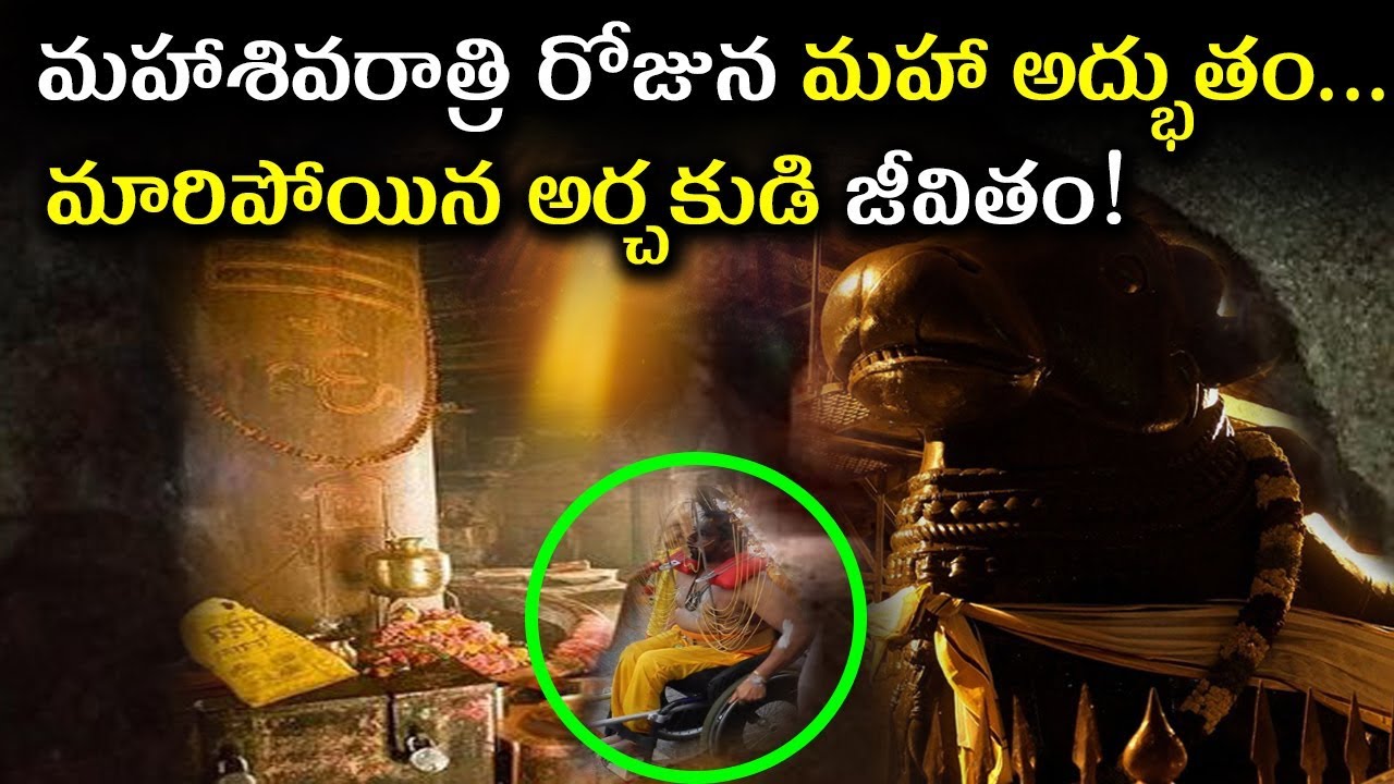 Miracles Happened On Mahashivratri | Miracles Of Lord Shiva | The ...