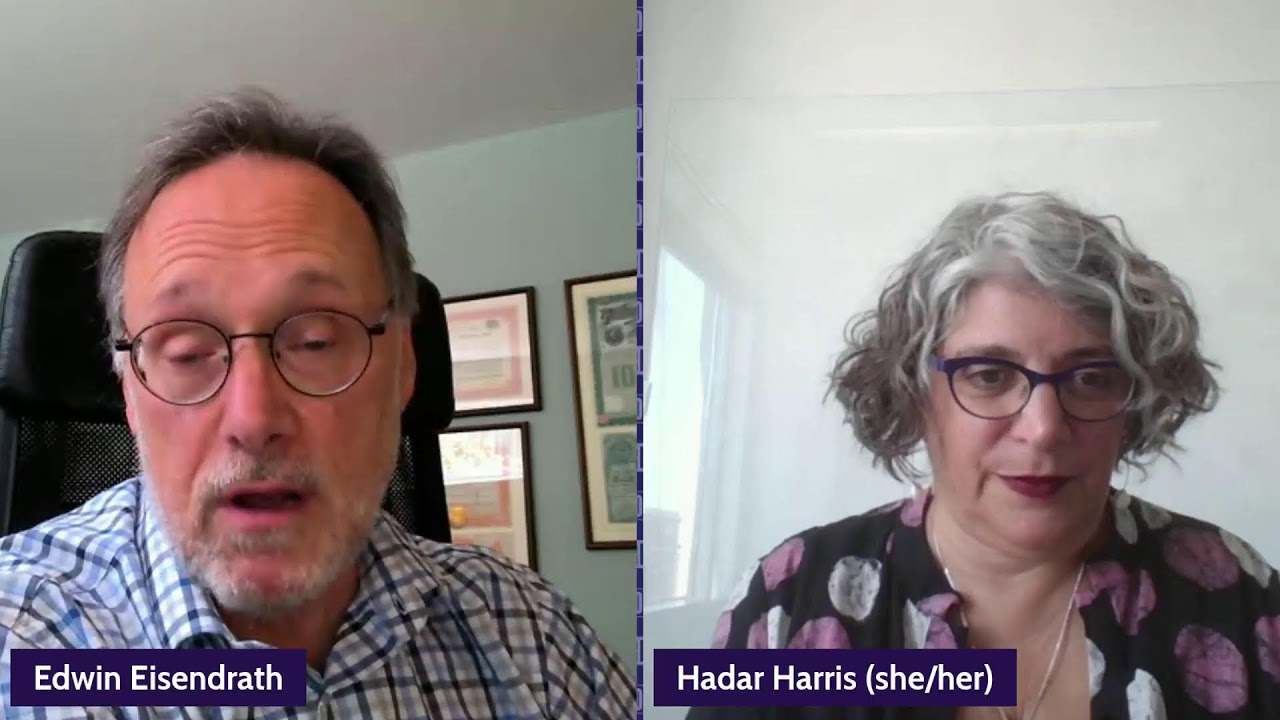 It's the Democracy, Stupid | Hadar Harris Joins Edwin Eisendrath - YouTube