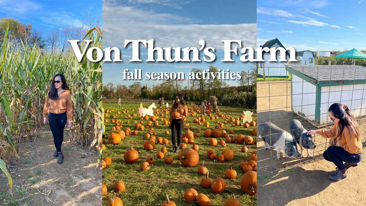 Pumpkins, Corn Maze, and Cute Animals at Von Thun’s Country Farm Market ...