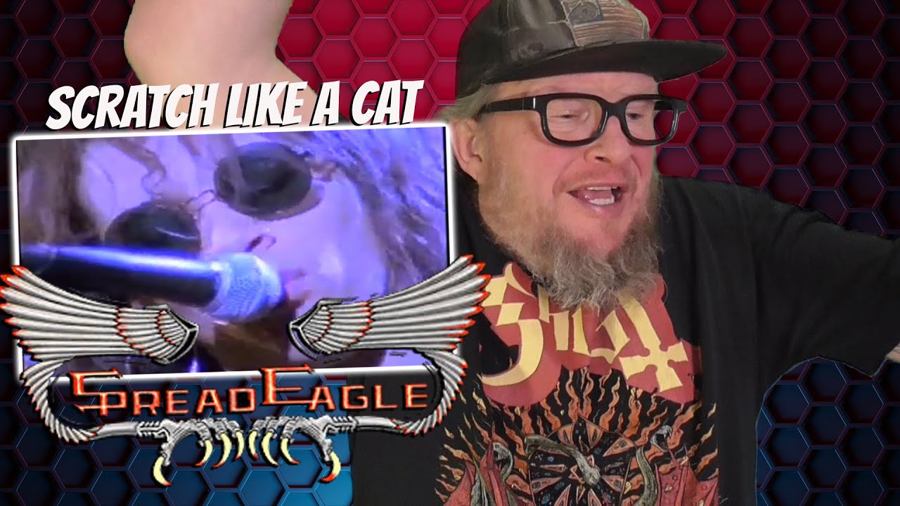 Scratch Like a Cat by SPREAD EAGLE (Reaction) - YouTube