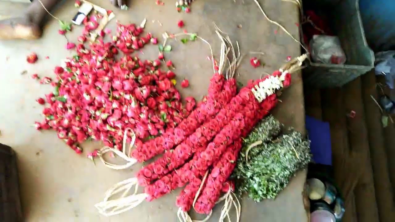 Maalai | Garland Making Process | Rose Garland making | How to string ...