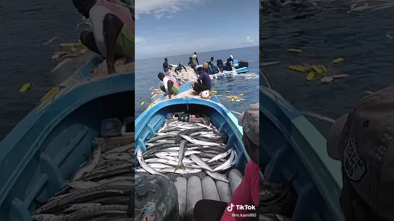 Kalpitiya laila fishing - YouTube