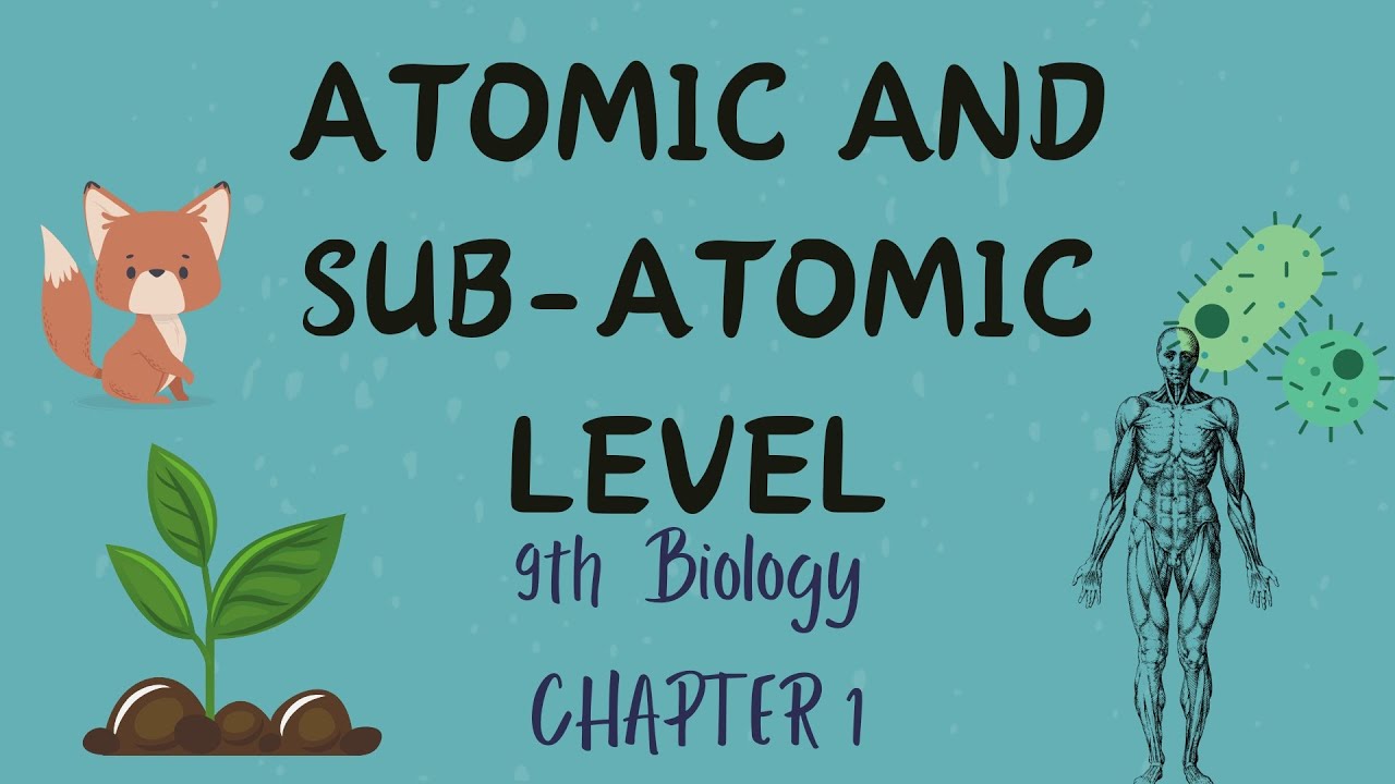 The Levels of Organization | Atomic and subatomic level | Chapter # 1 ...