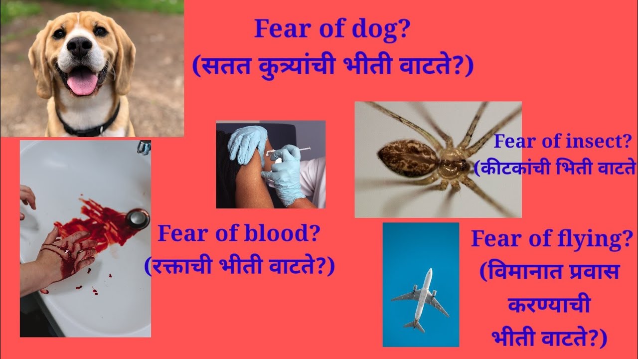 Specific phobia, #shorts# airplan phobia, injection phobia, blood ...
