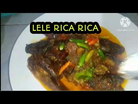 (DAILY VLOG)IKAN LELE RICA RICA!! incesbounty - YouTube