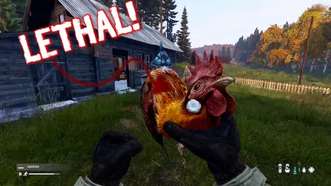 DayZ - Fighting zombies with my c0ck…..I mean ROOSTER! 😂 - YouTube