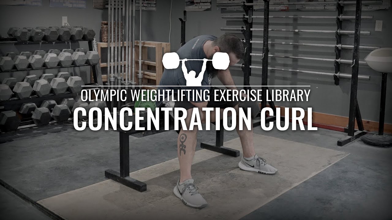 Concentration Curl | Olympic Weightlifting Exercise Library - YouTube